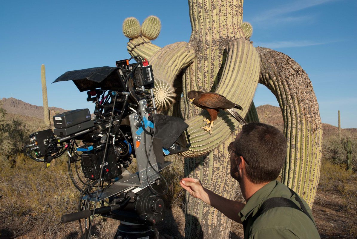 Photo du film Mini héros - Photo 16 sur 28 - AlloCiné