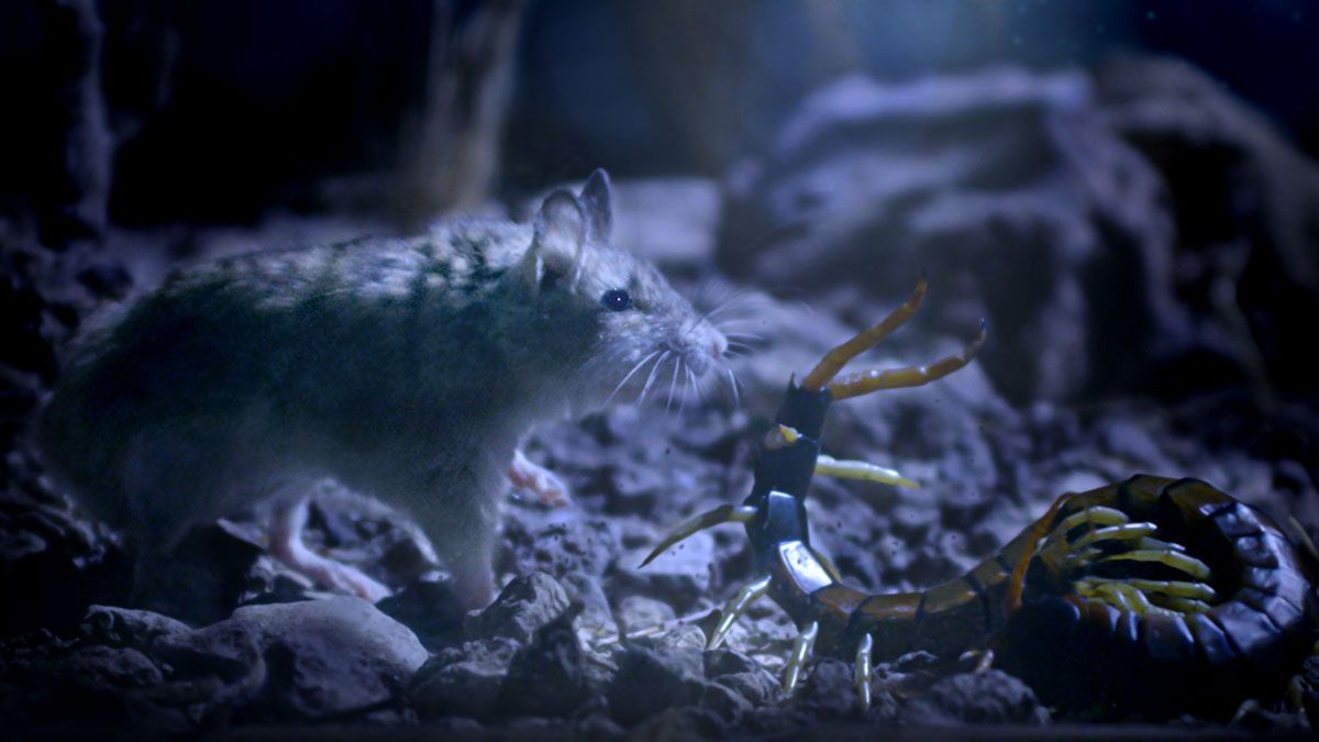 Photo du film Mini héros - Photo 4 sur 28 - AlloCiné