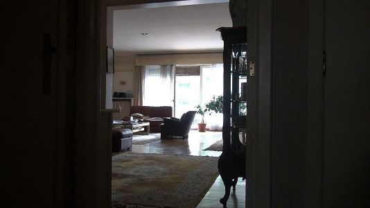 Photo du film No Home Movie - Photo 11 sur 11 - AlloCiné