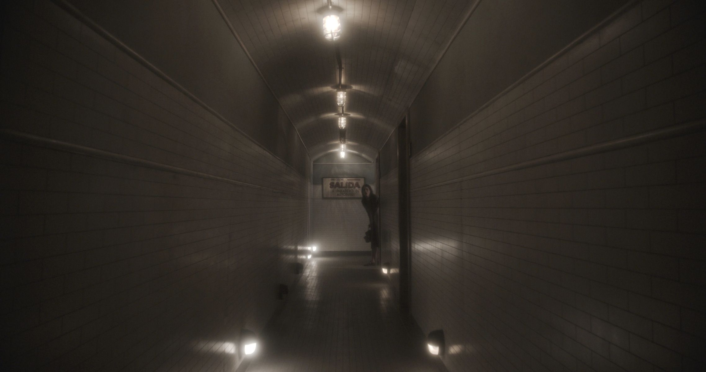 Photo du film The Similars - Photo 8 sur 8 - AlloCiné