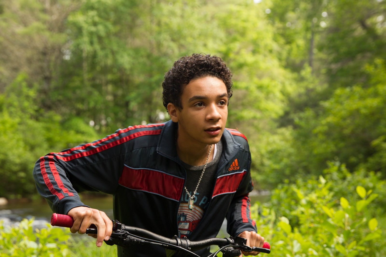 Photo du film Max - Photo 26 sur 34 - AlloCiné