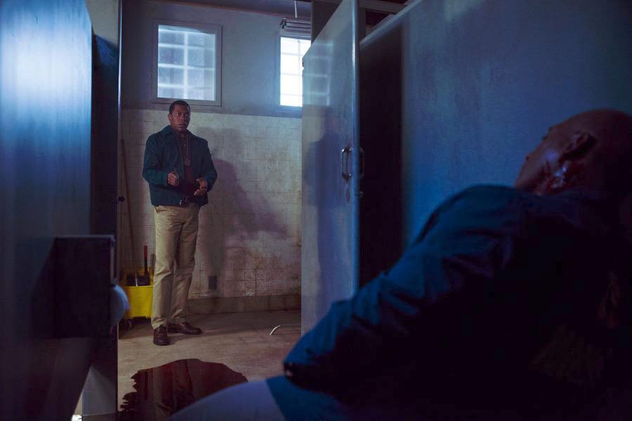 Photo de Devielle Johnson - Grimm : Photo Devielle Johnson - Photo 0 sur 1 - AlloCiné