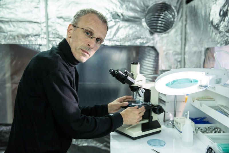 Photo de Stephen Dillane - Photo Stephen Dillane - Photo 13 sur 52 ...