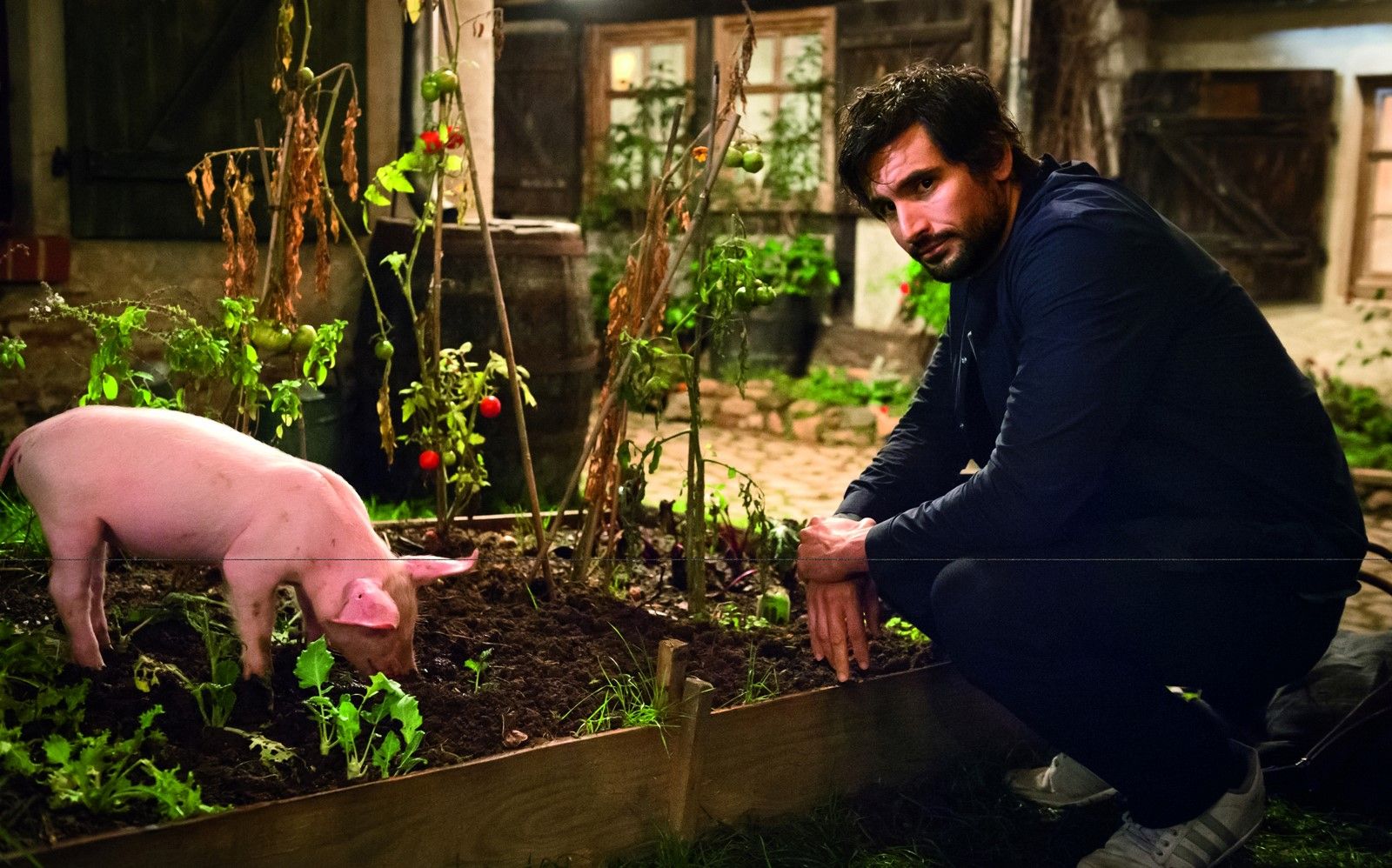 Photo de Tom Beck - Photo Tom Beck - Photo 13 sur 33 - AlloCiné