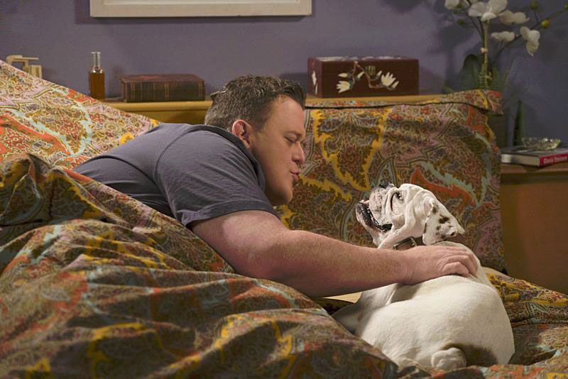 Mike & Molly : Mike & Molly : Photo Billy Gardell - 16 sur 276 - AlloCiné