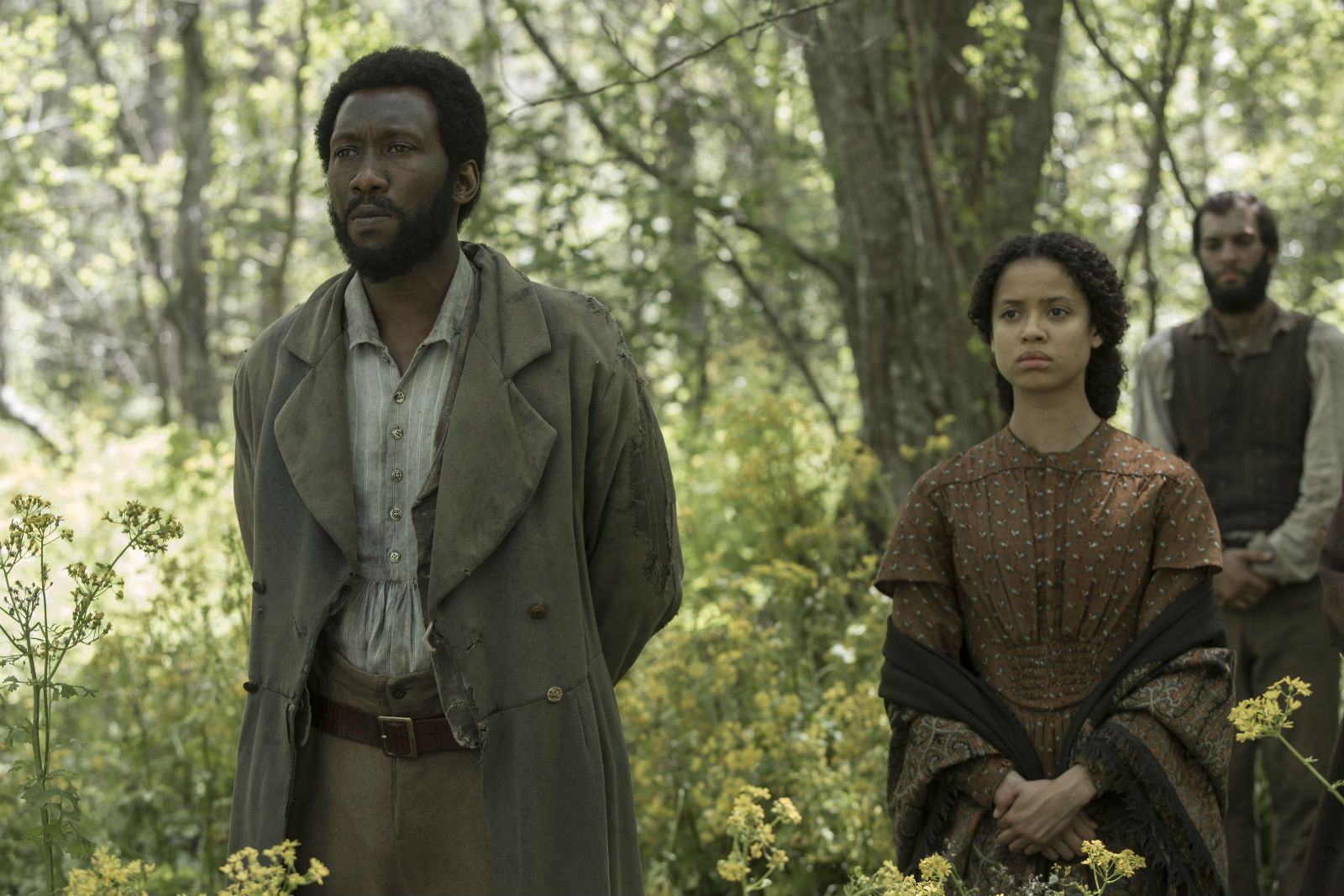 Photo du film Free State Of Jones - Photo 6 sur 24 - AlloCiné