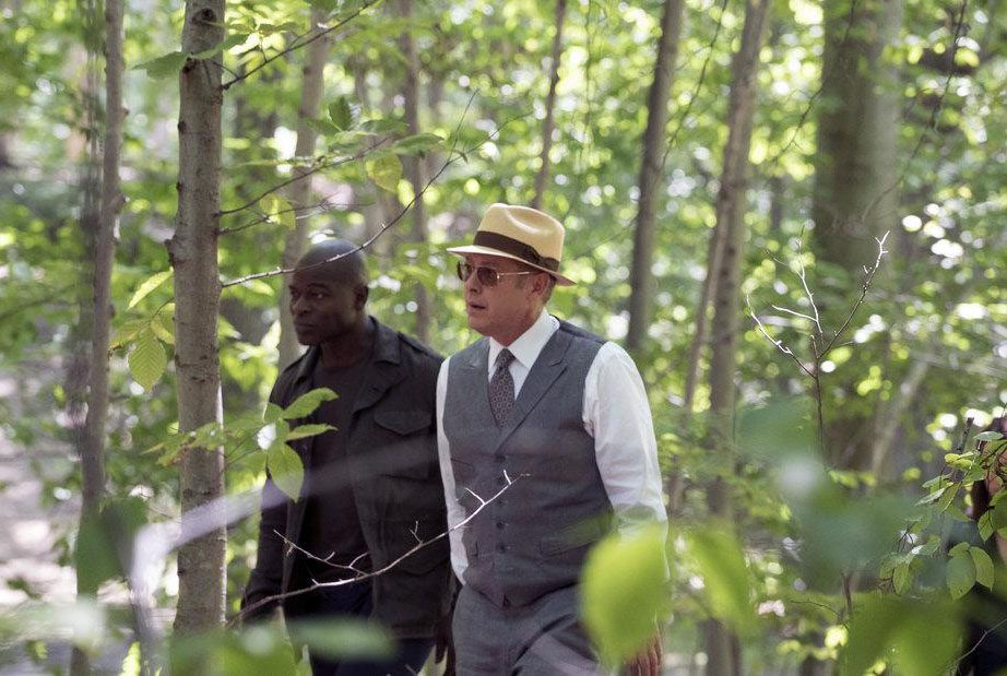 Poster Blacklist saison 4 - Affiche 315 sur 1010 - AlloCiné