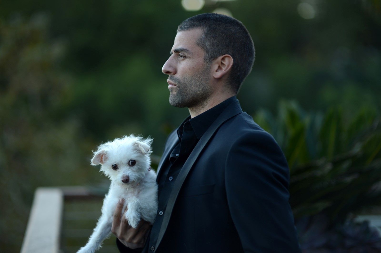 Photo du film Mojave - Photo 3 sur 21 - AlloCiné