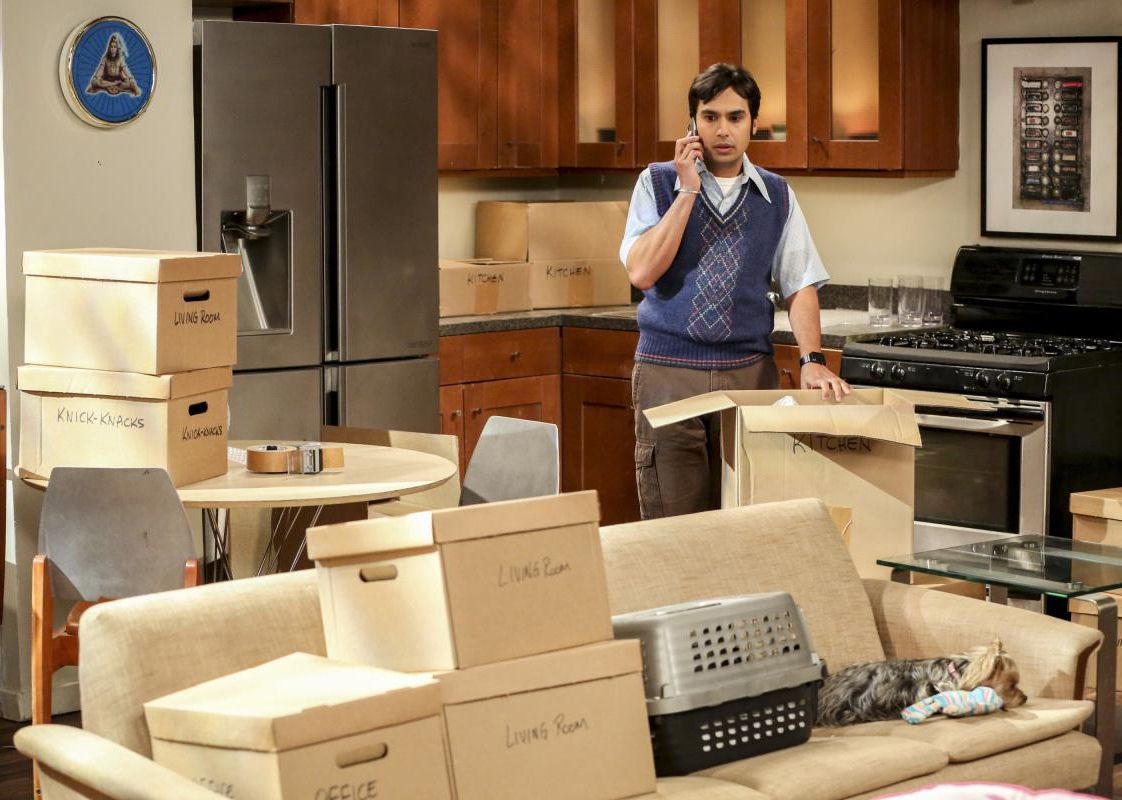The Big Bang Theory : The Big Bang Theory : Photo Kunal Nayyar - 389 sur 1200 - AlloCiné