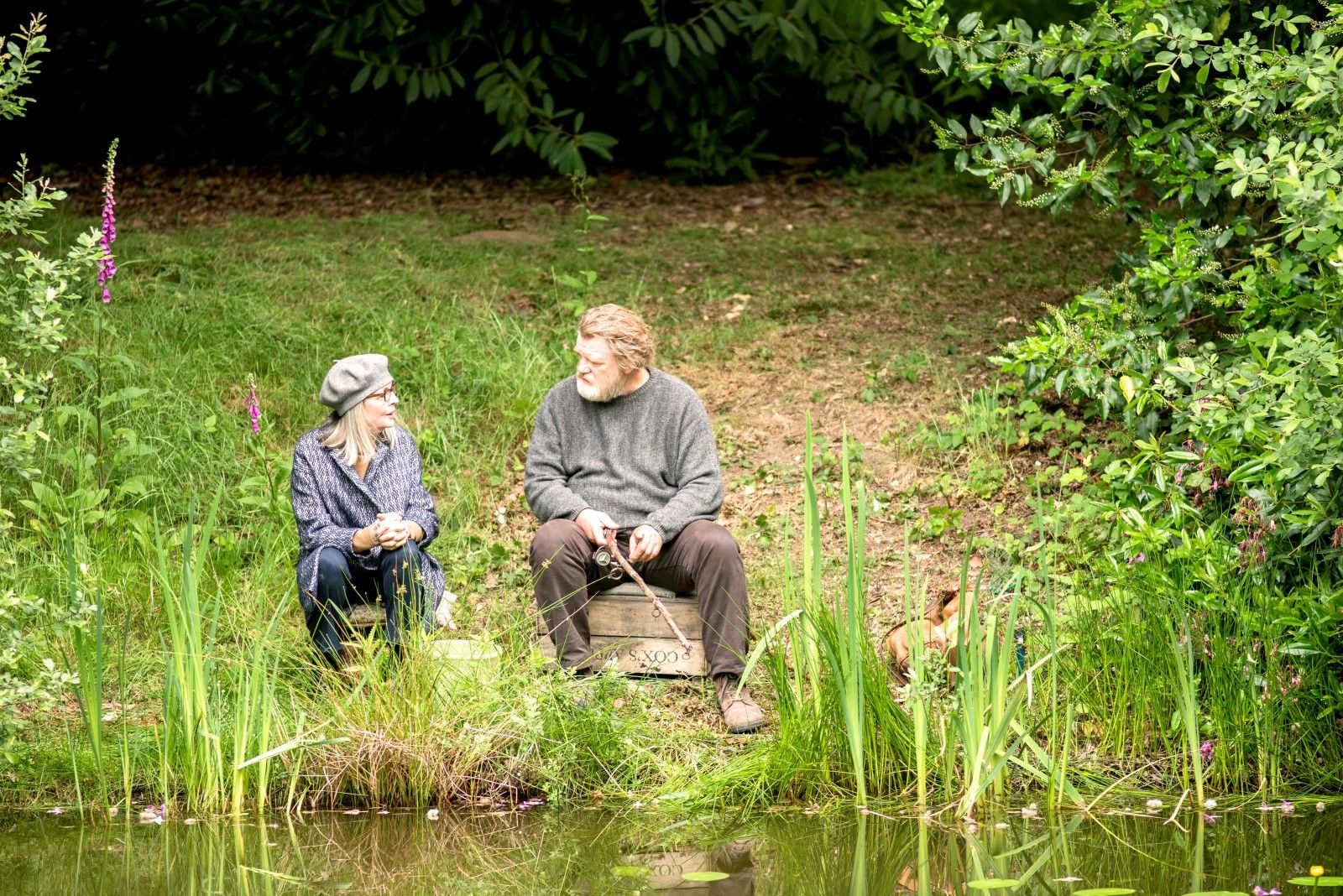 Photo de Brendan Gleeson - Rencontre à Hampstead Park : Photo Brendan ...