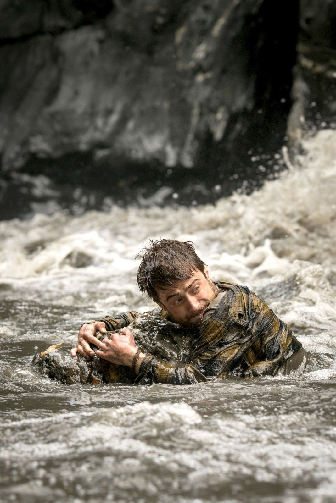 Photo de Daniel Radcliffe - Jungle : Photo Daniel Radcliffe - AlloCiné