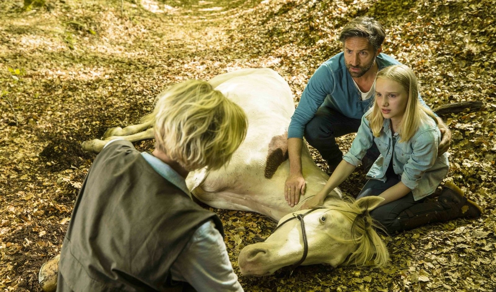 Photo de Benjamin Sadler - Photo Jule Hermann, Benjamin Sadler - Photo ...