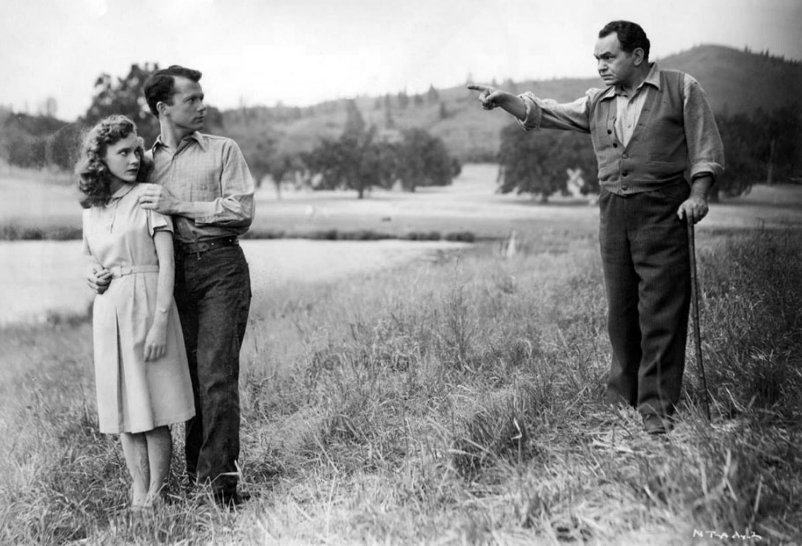 Photo du film La Maison rouge - Photo 2 sur 5 - AlloCiné