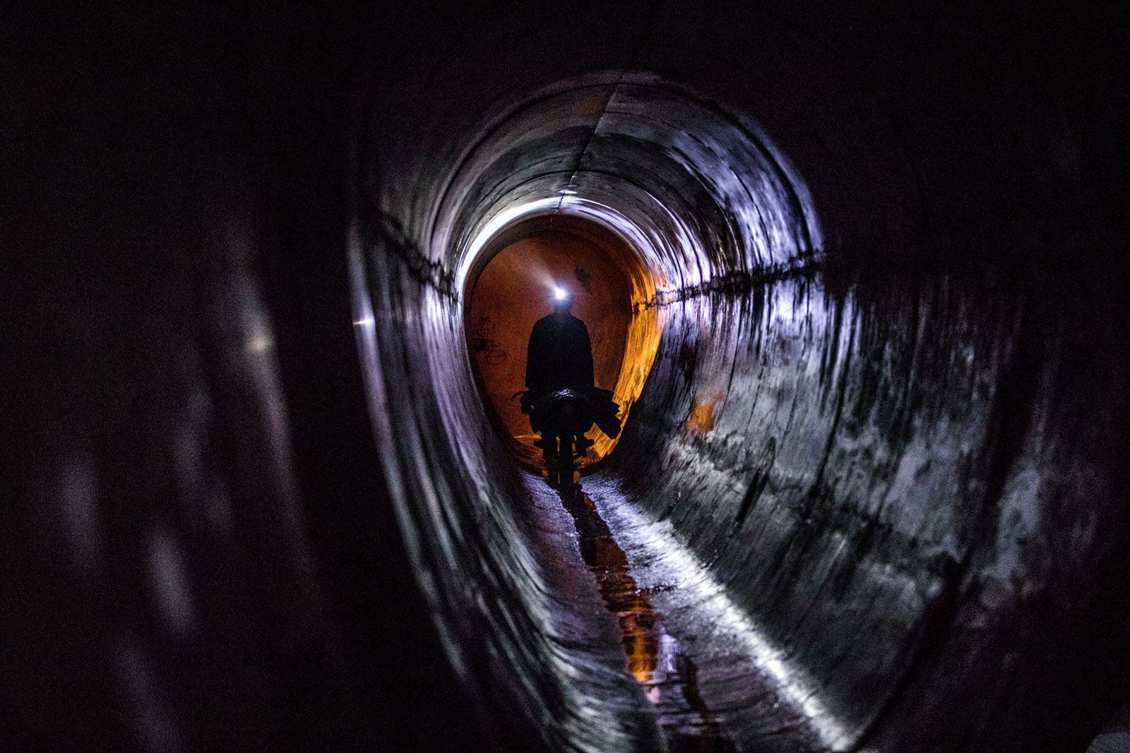 Nox : Photo - 4 sur 8 - AlloCiné