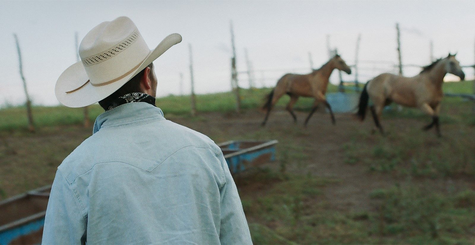 Photo du film The Rider - Photo 3 sur 16 - AlloCiné