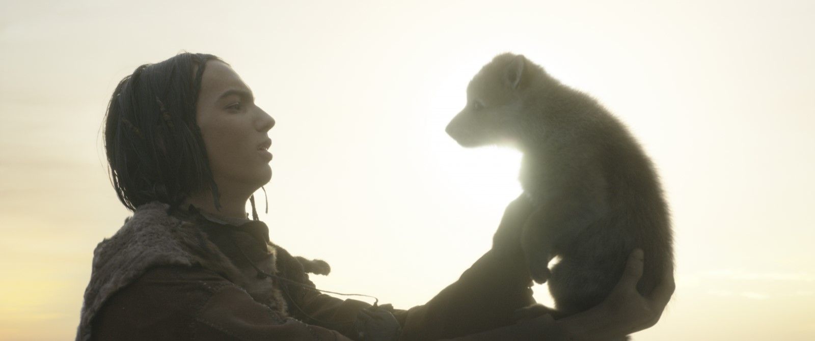 Photo du film Alpha - Photo 12 sur 28 - AlloCiné