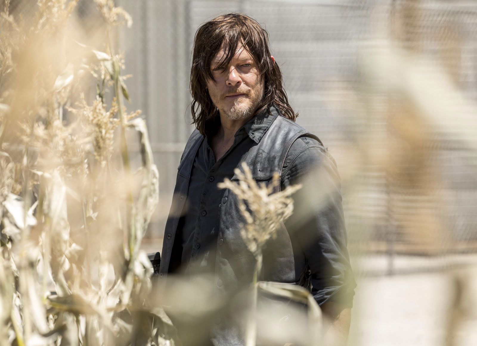 Photo de Norman Reedus - Photo Norman Reedus - Photo 58 sur 176 - AlloCiné