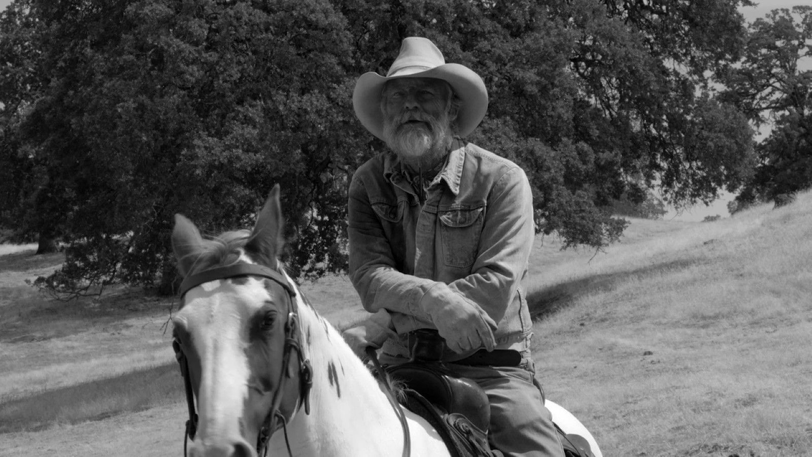 Photo de Perry King - The Divide : Photo Perry King - Photo 3 sur 10 ...