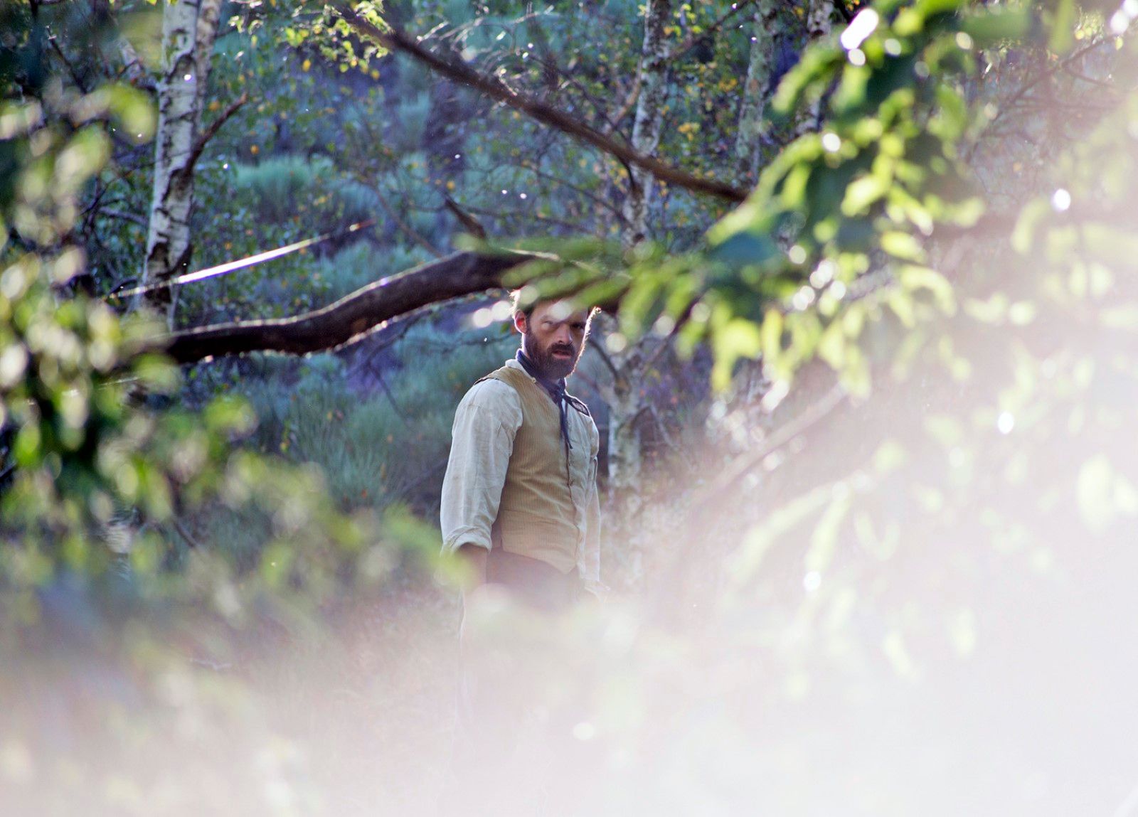 Photo de Alban Lenoir - Le Semeur : Photo Alban Lenoir - Photo 54 sur ...