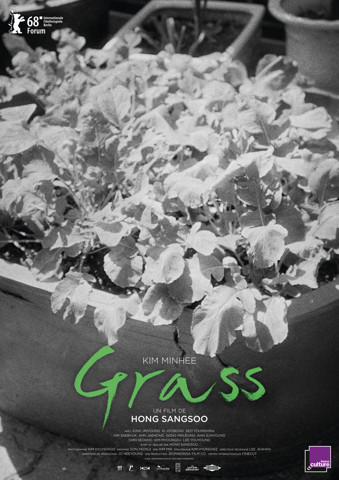 Affiche du film Grass - Photo 5 sur 13 - AlloCiné
