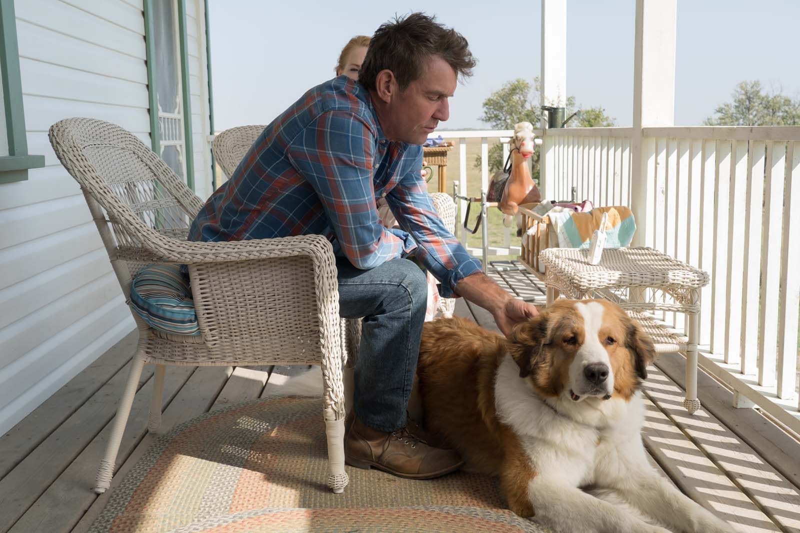 Photo de Dennis Quaid - Mes autres vies de chien : Photo Dennis Quaid ...