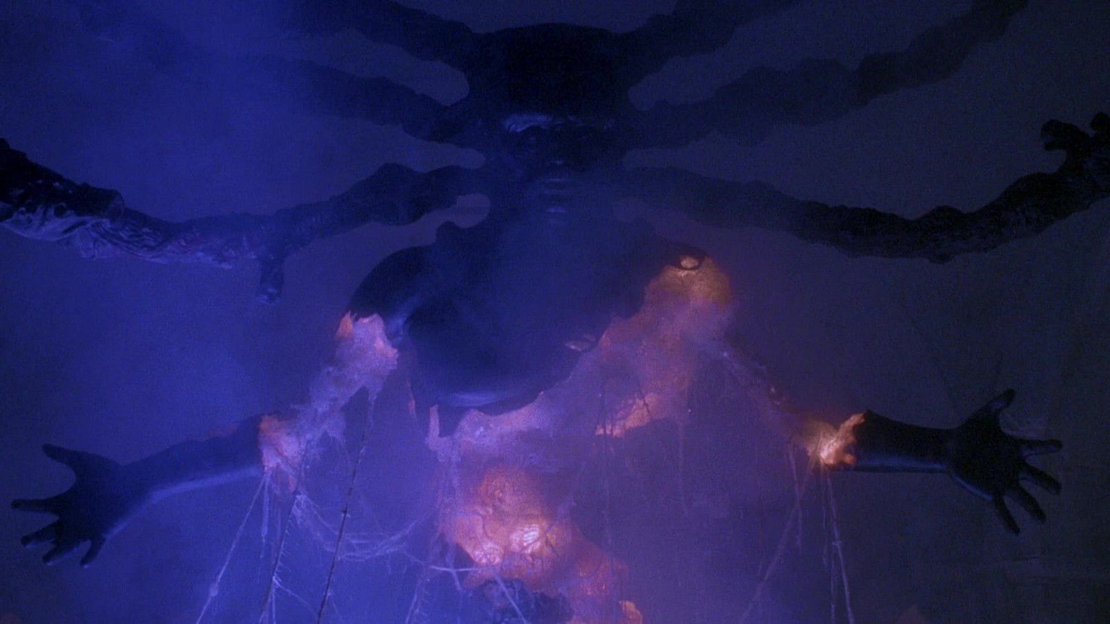 Photo du film Cabal - Photo 8 sur 16 - AlloCiné