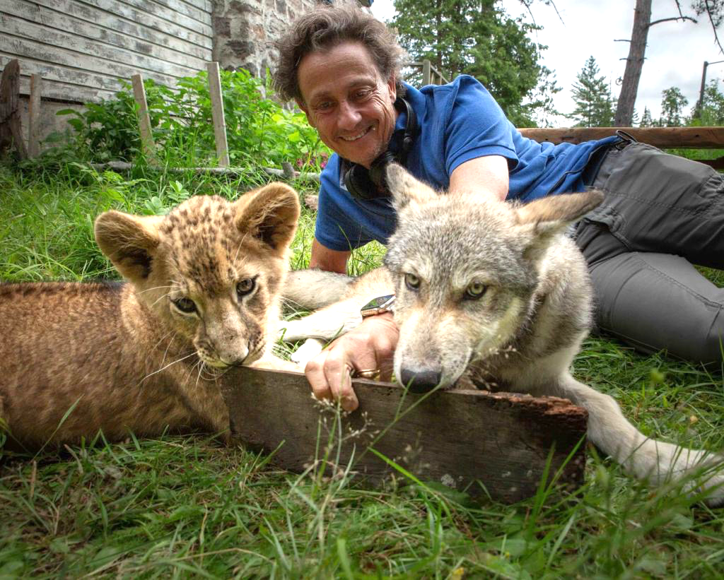 Photo du film Le Loup et le Lion - Photo 18 sur 18 - AlloCiné