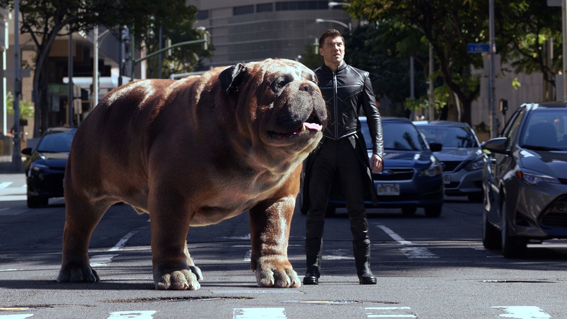 Marvel's Inhumans : Marvel's Inhumans : Photo - 9 sur 75 - AlloCiné