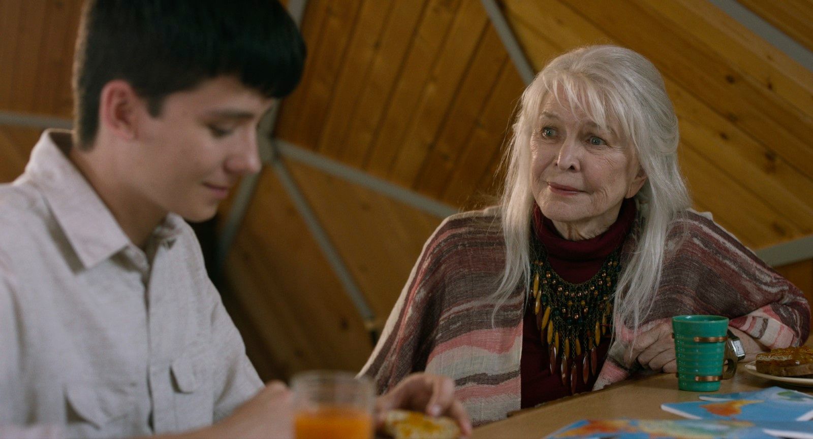 Photo du film The House Of Tomorrow - Photo 7 sur 13 - AlloCiné