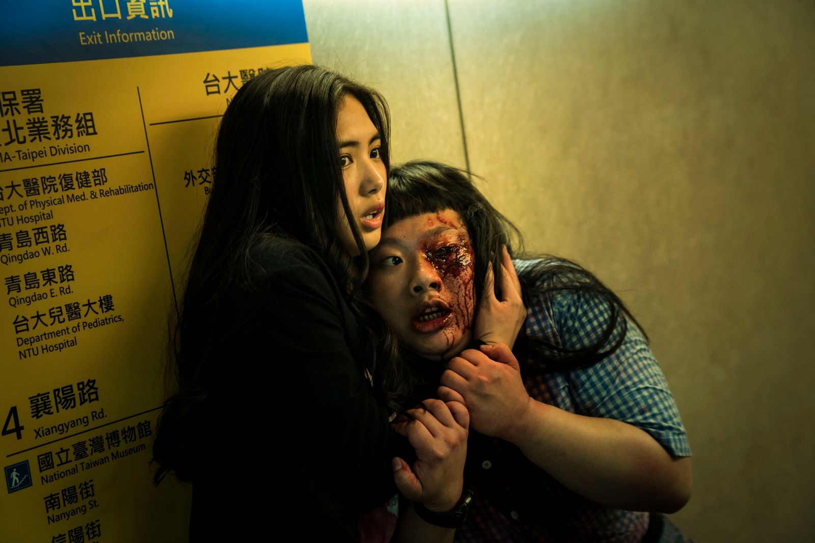 Photo du film The Sadness - Photo 24 sur 27 - AlloCiné