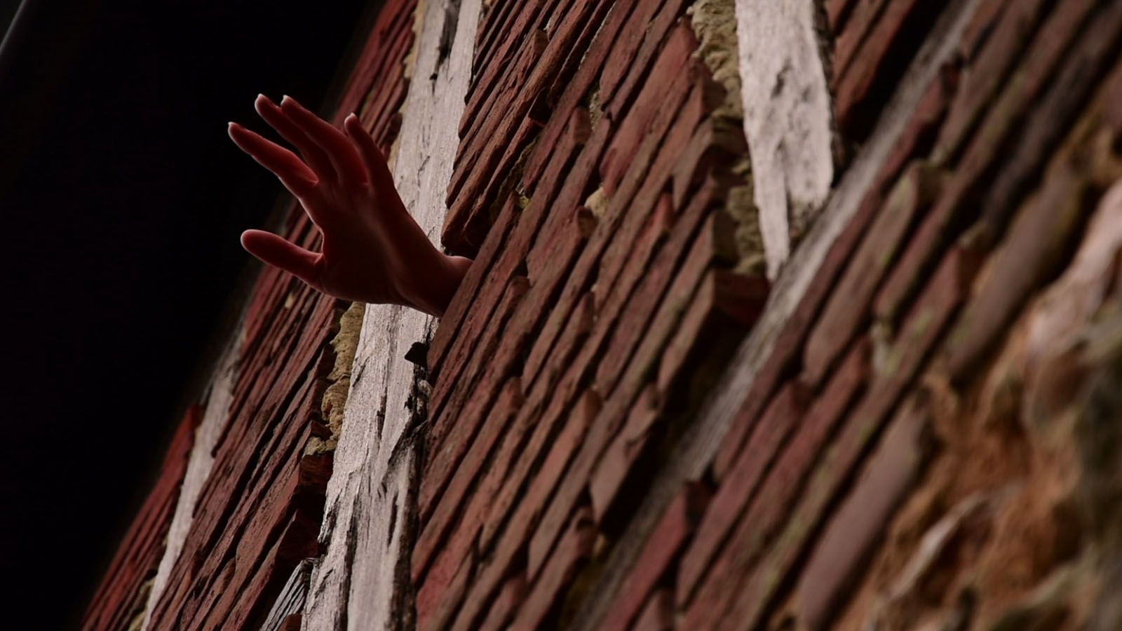 Photo du film Genocidium - Photo 4 sur 21 - AlloCiné