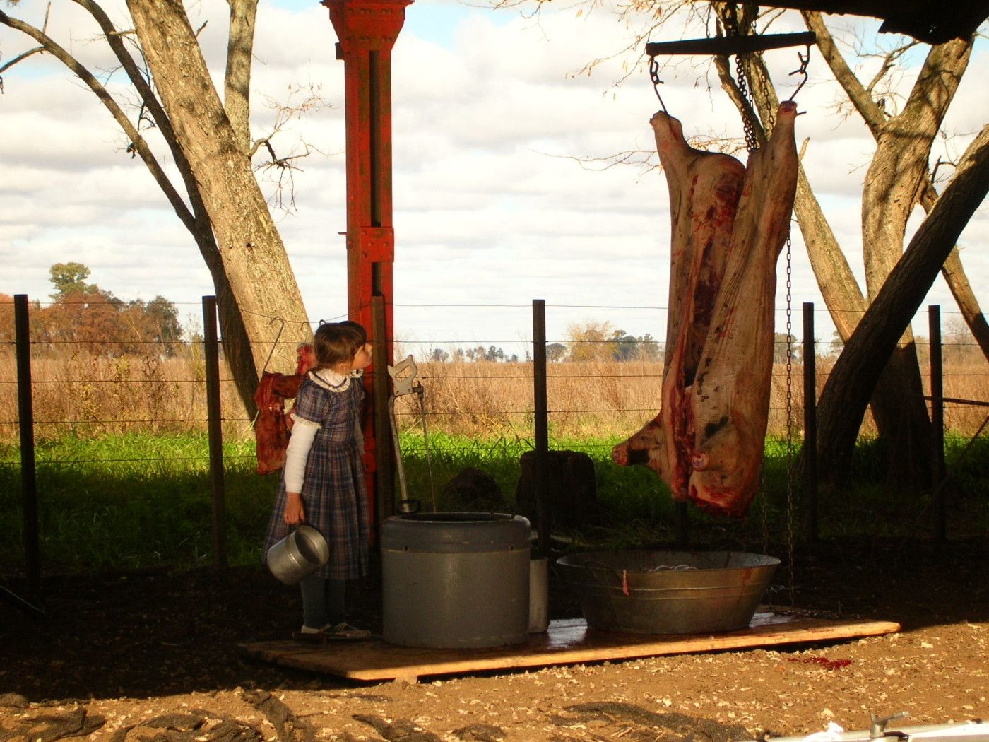 Photo du film La Rabia - Photo 3 sur 6 - AlloCiné