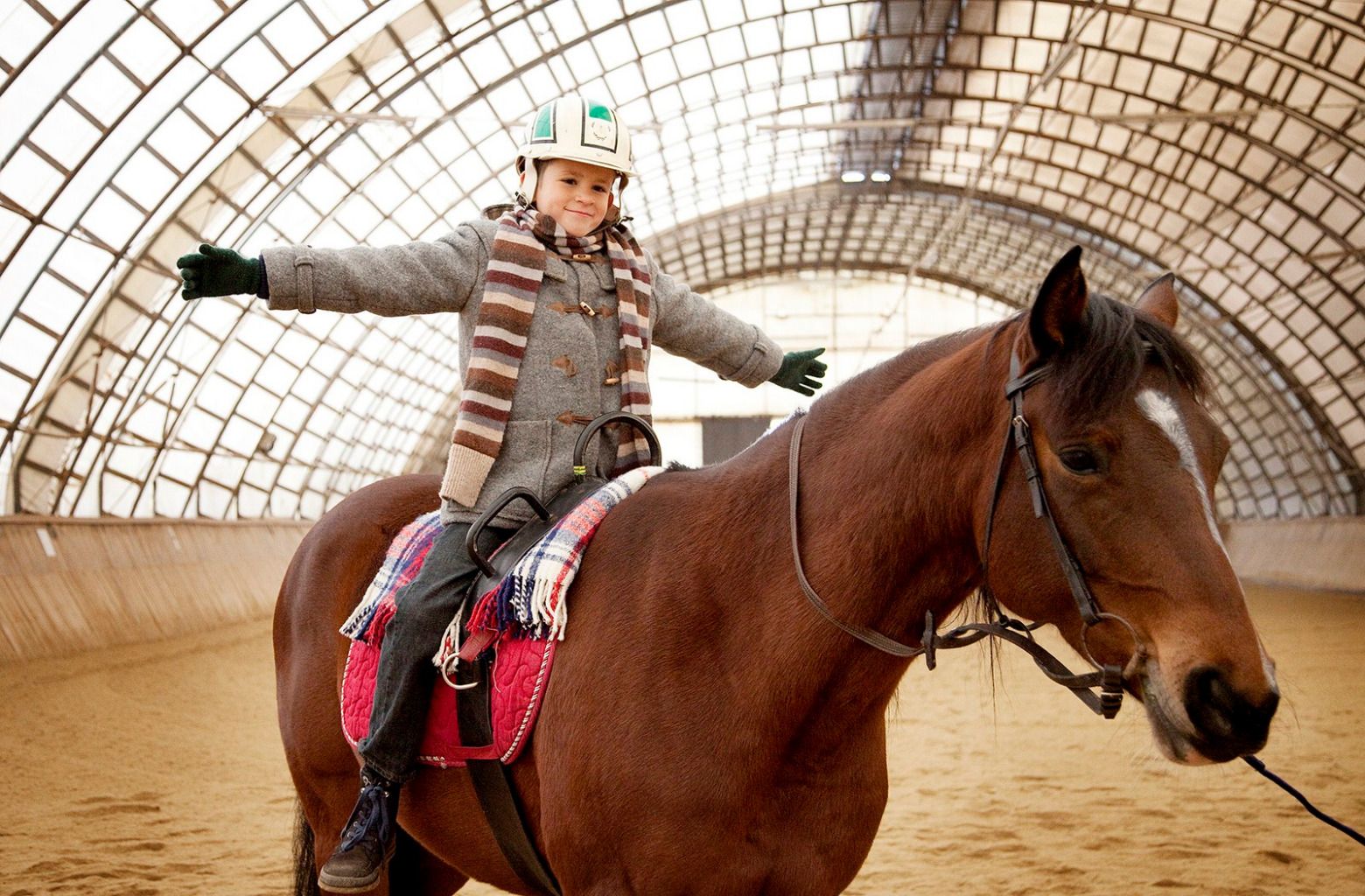 Photo de Enzo Gaier - Un Cheval sur le balcon : Photo Enzo Gaier ...