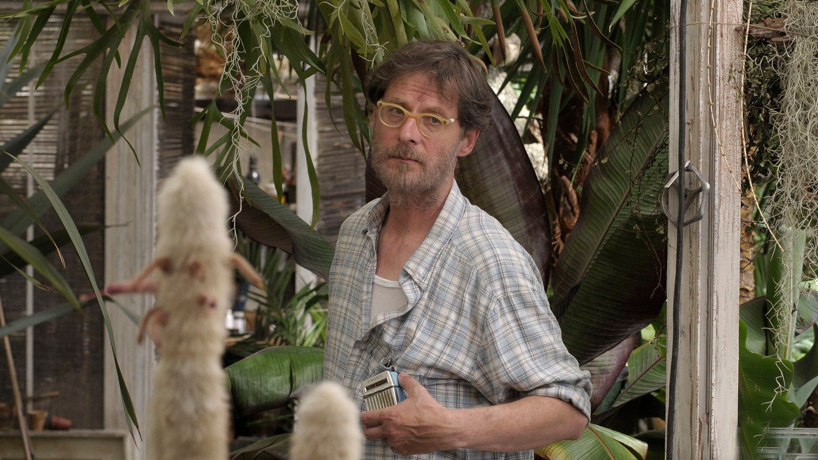 Photo de Jan Hartl - Modrý tygr : Photo Jan Hartl - Photo 1 sur 2 ...