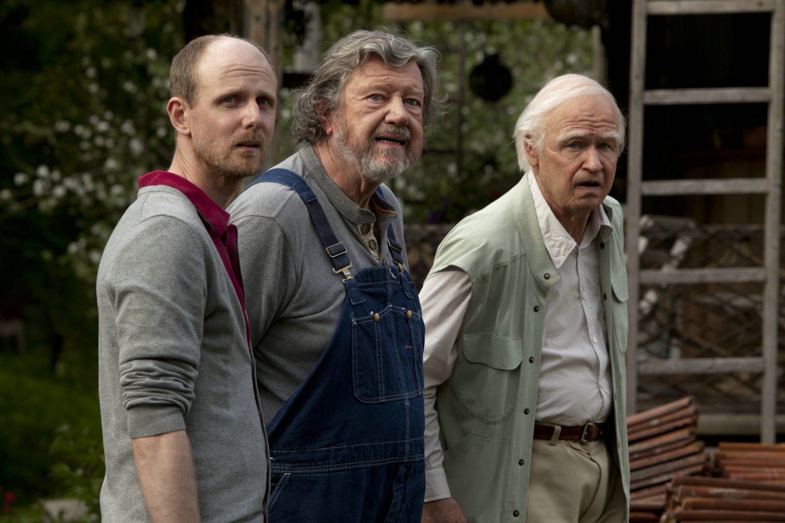 Photo de David Wiberg - Le Vieux qui ne voulait pas fêter son ...