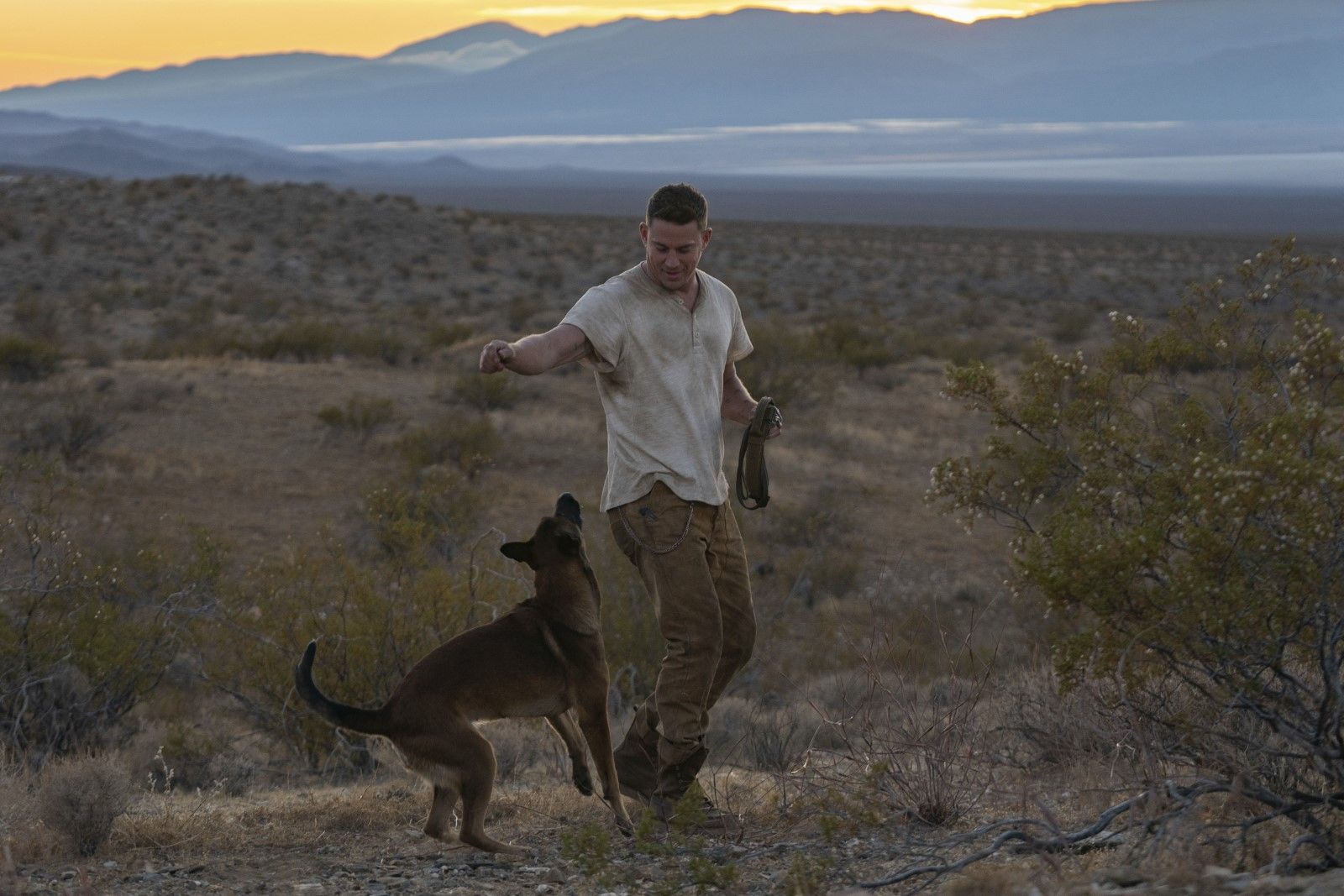 Photo de Channing Tatum - Dog : Photo Channing Tatum - Photo 65 sur 298 ...