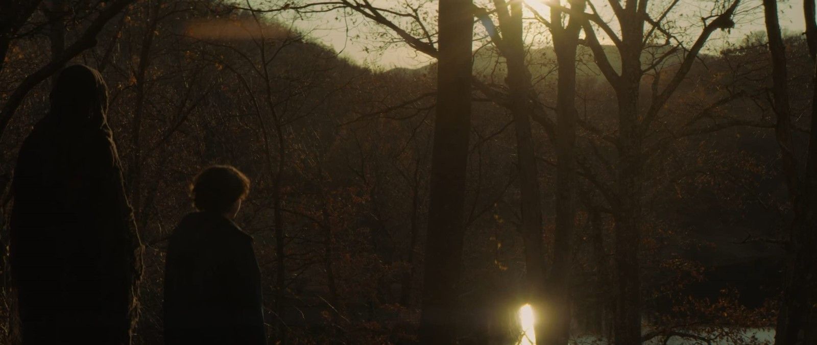 Photo du film Slapface - Photo 10 sur 14 - AlloCiné