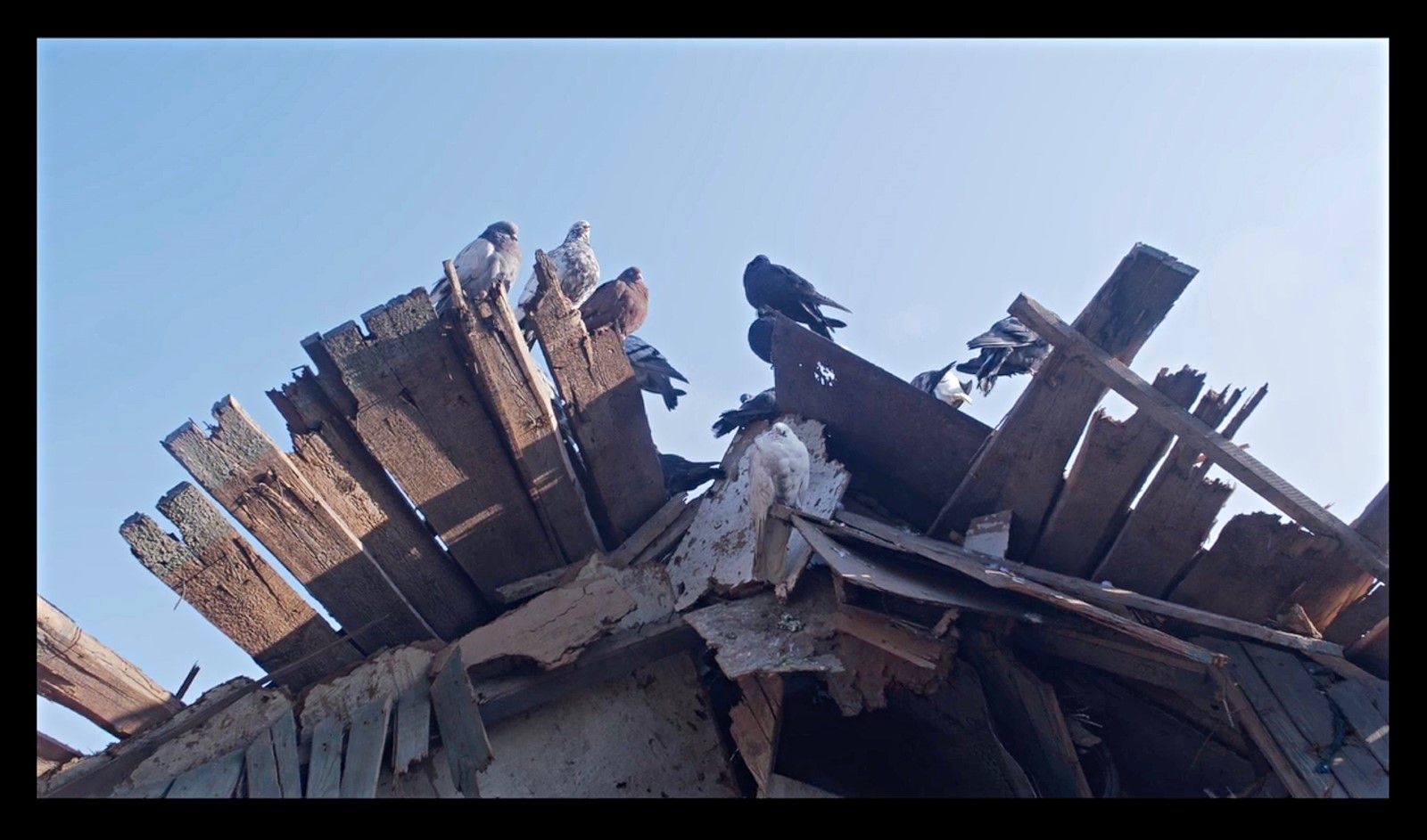 Photo du film Mariupolis 2 - Photo 4 sur 6 - AlloCiné