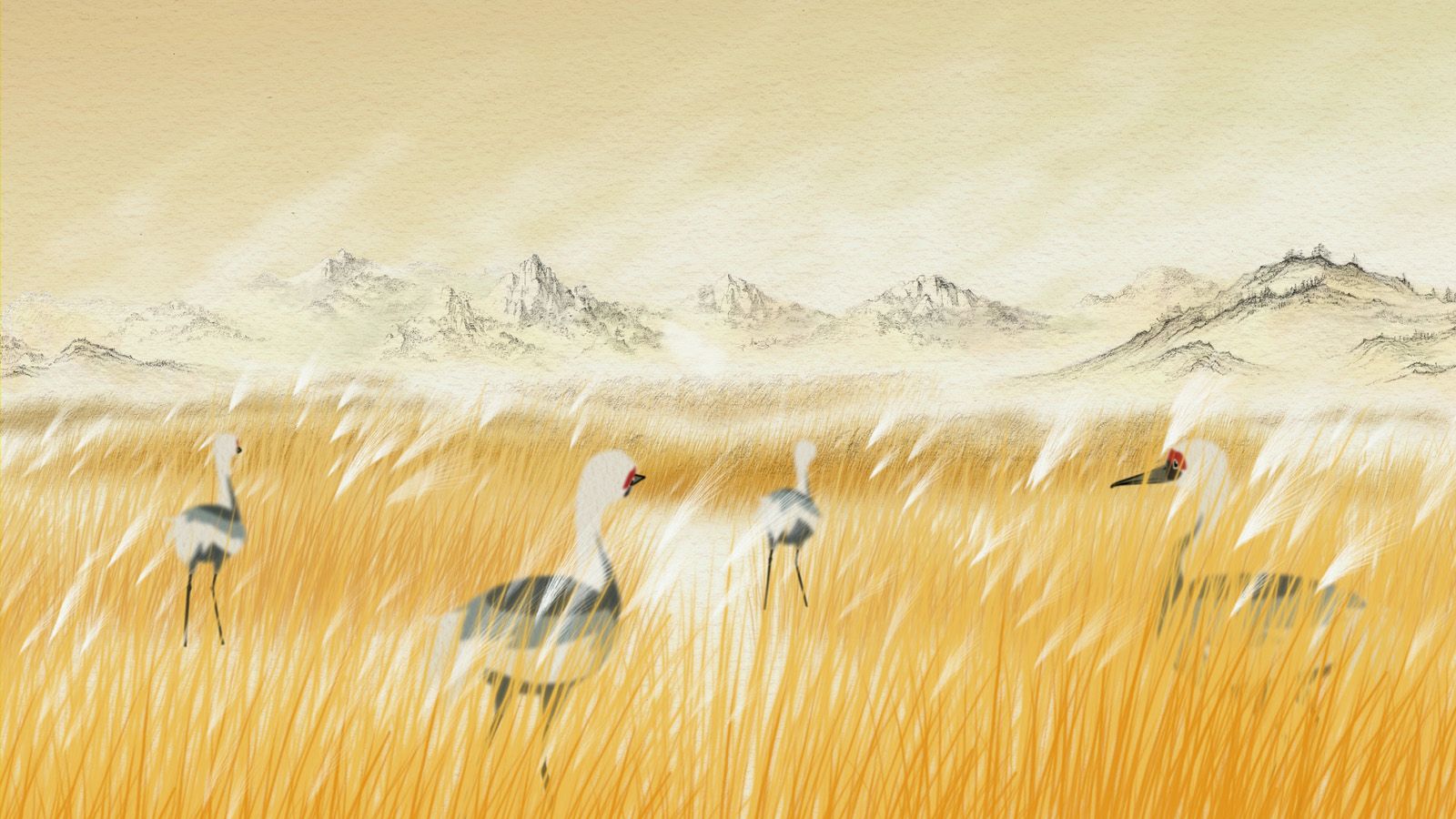 Photo du film Piro Piro - Photo 3 sur 13 - AlloCiné