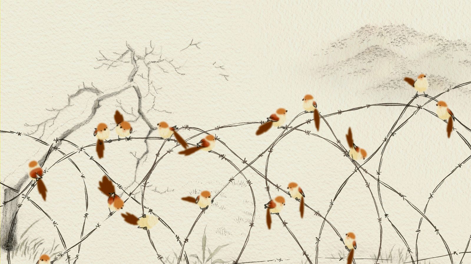 Photo du film Piro Piro - Photo 2 sur 13 - AlloCiné