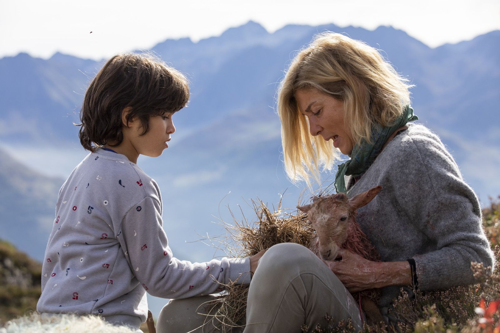 Photo du film Belle et Sébastien : Nouvelle génération - Photo 1 sur 21 ...