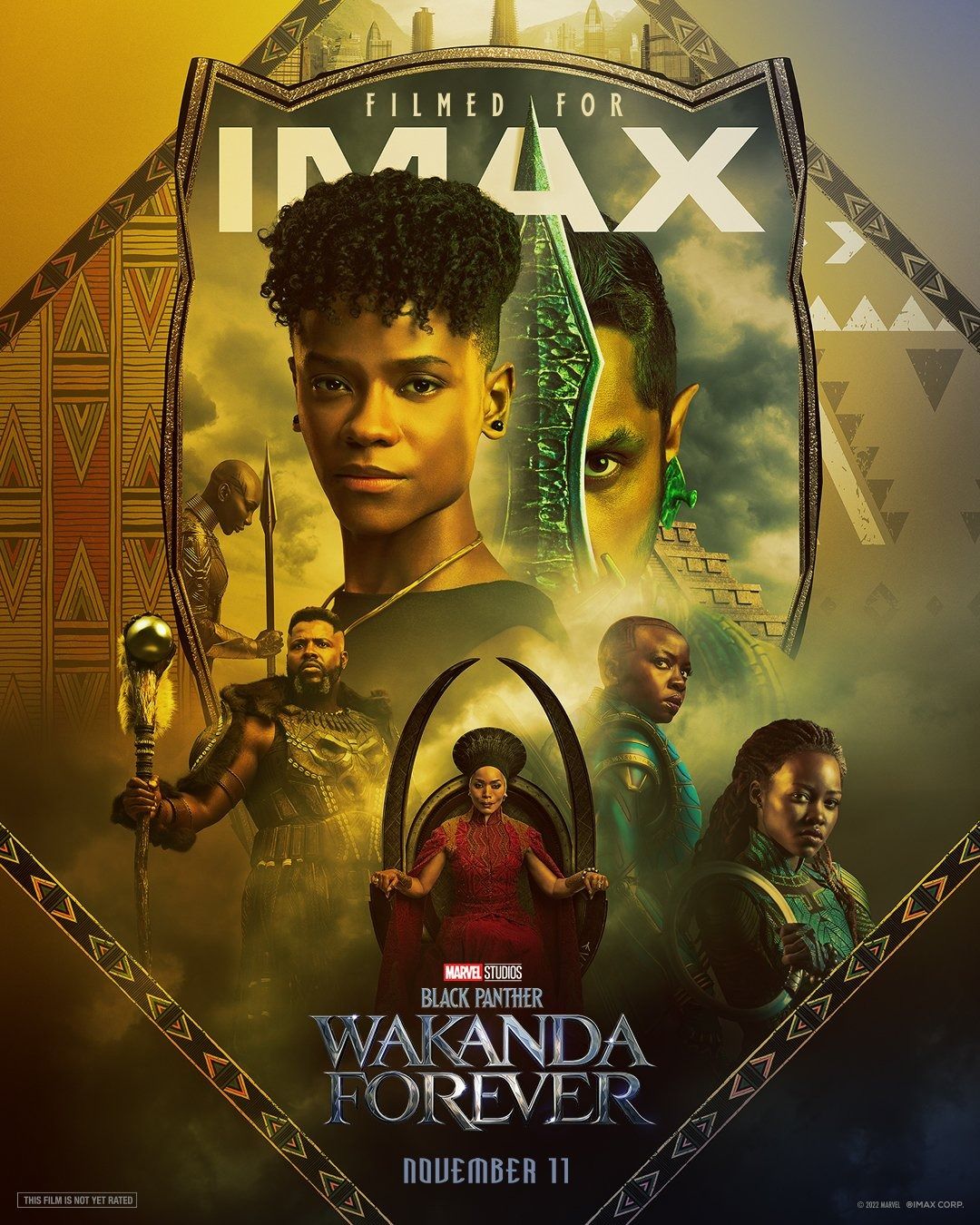 Affiche Du Film Black Panther Wakanda Forever Photo 38 Sur 49 Allociné