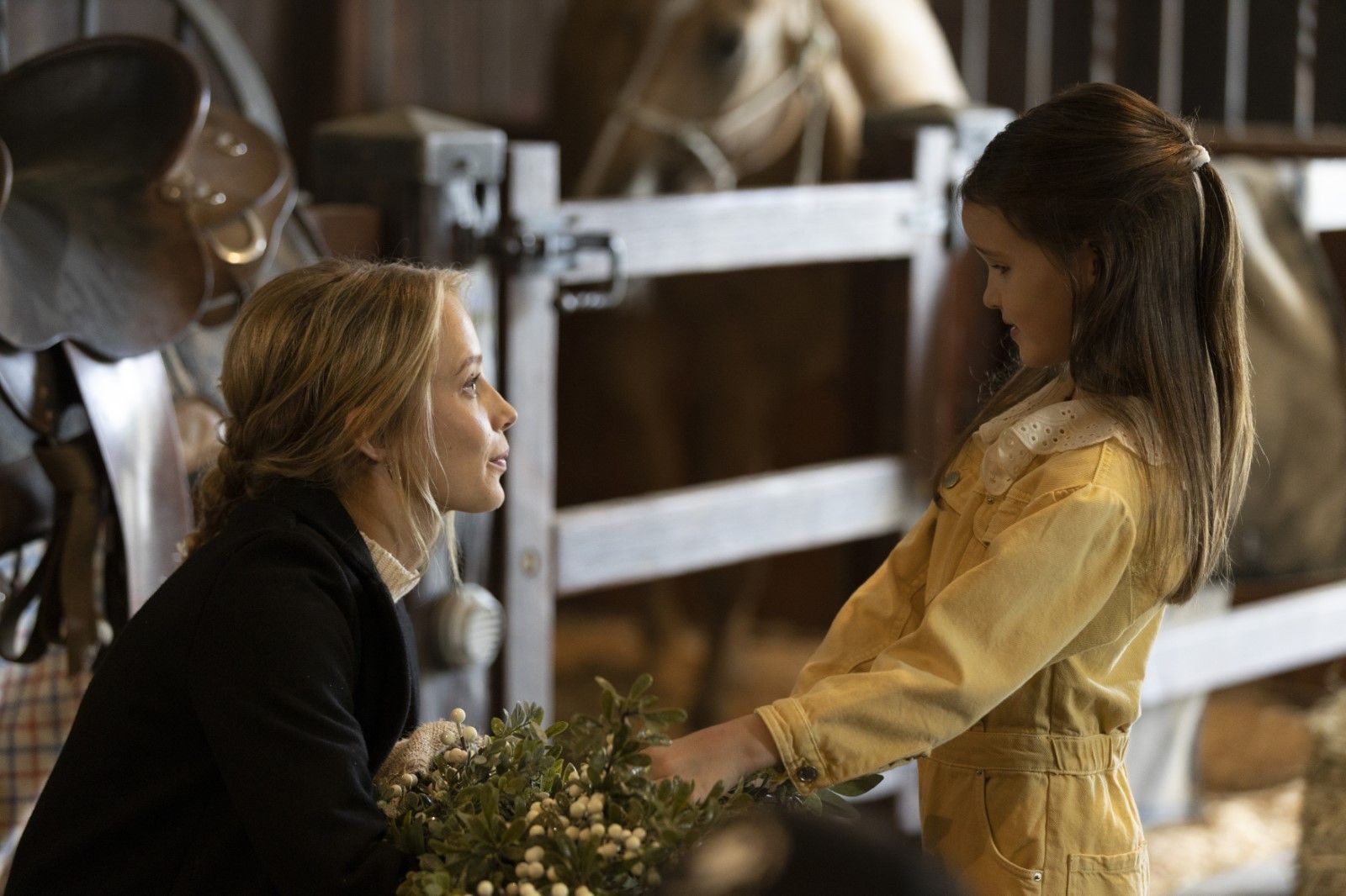 Photo de Mercy Cornwall - Photo Molly Wright, Mercy Cornwall - Photo 3 ...