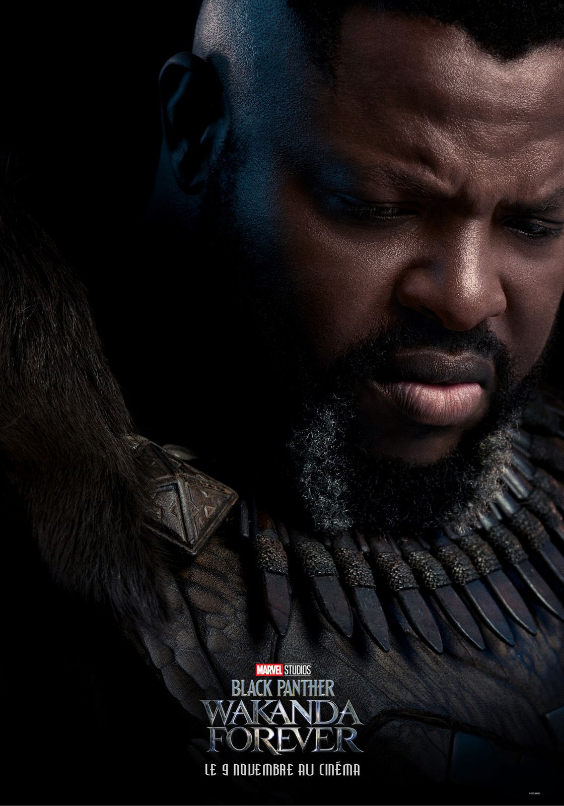 Affiche du film Black Panther: Wakanda Forever - Photo 15 sur 49 - AlloCiné