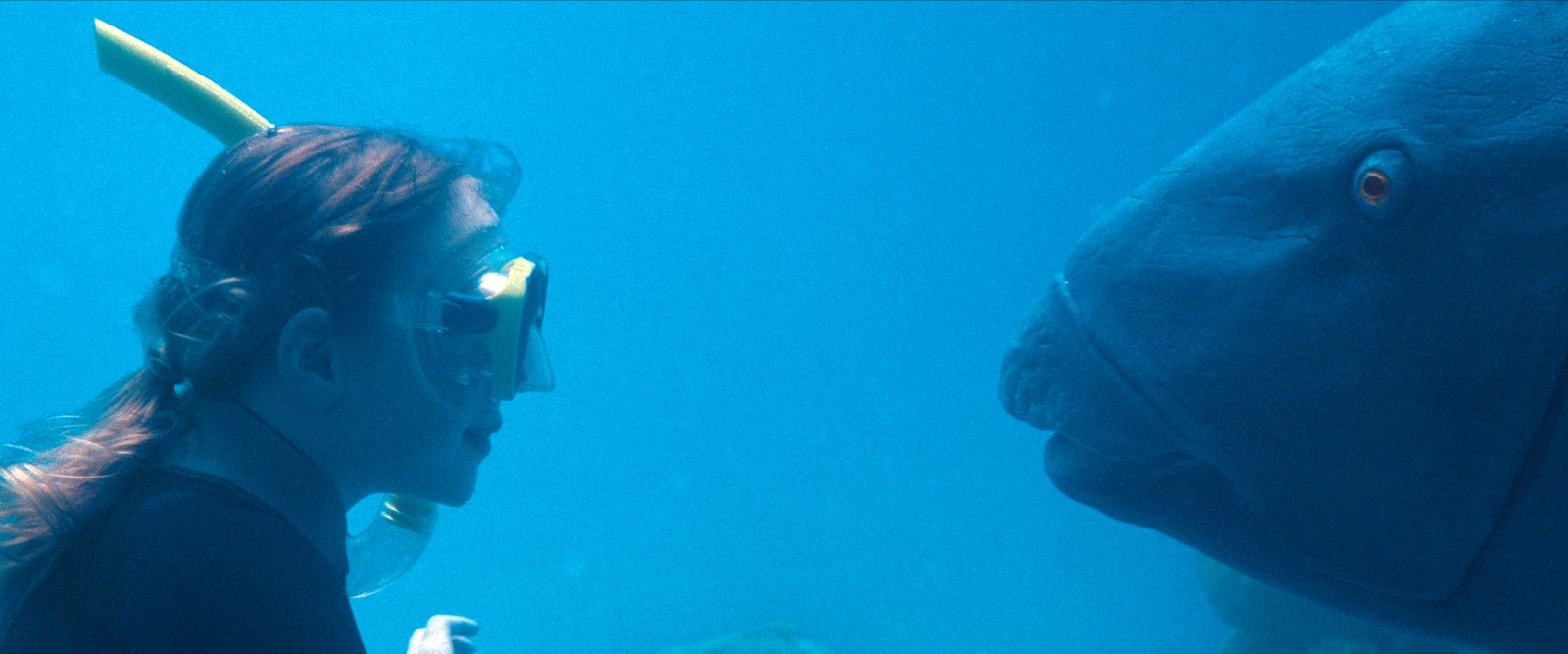Photo du film Blueback – une amitié sous-marine - Photo 3 sur 17 - AlloCiné