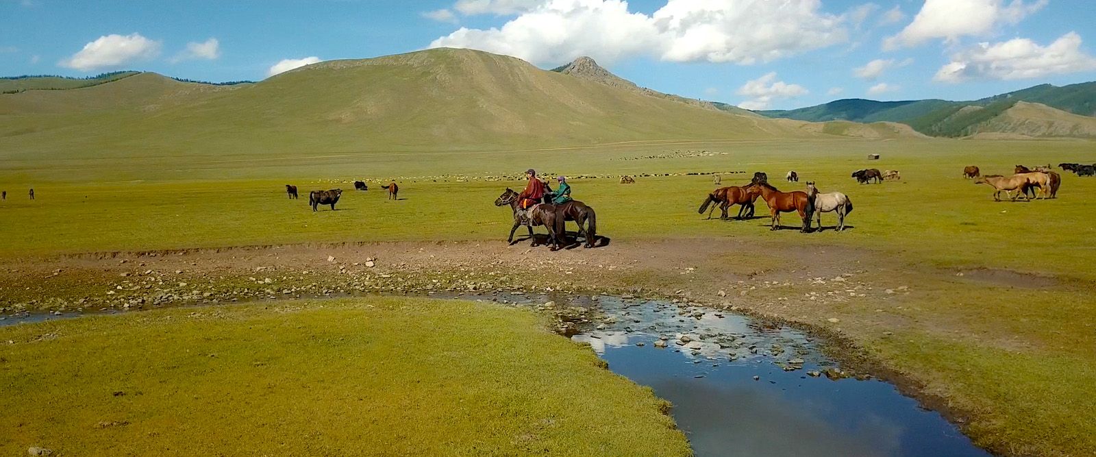 Photo du film Etugen - Photo 9 sur 10 - AlloCiné