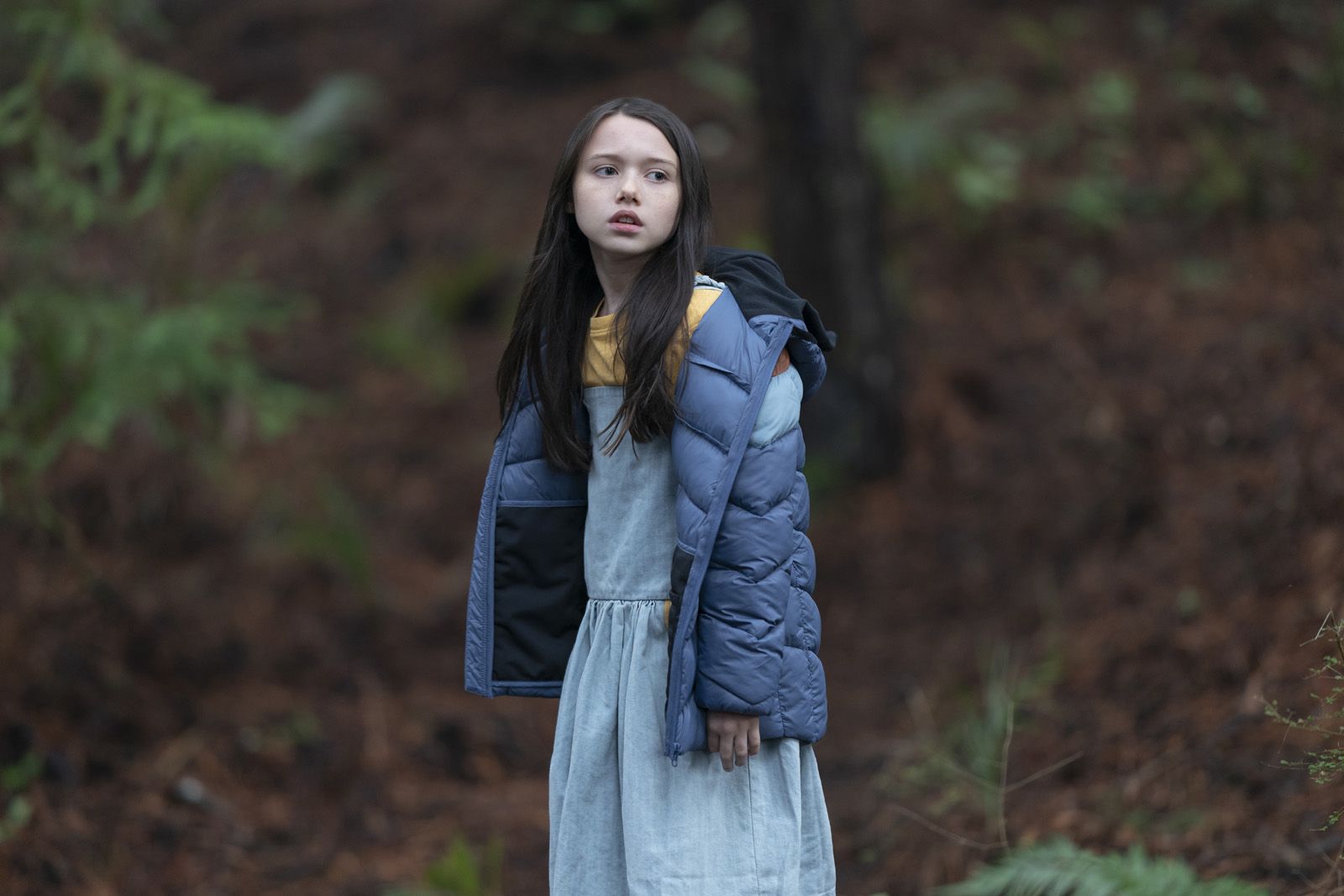 Photo du film M3GAN - Photo 9 sur 22 - AlloCiné