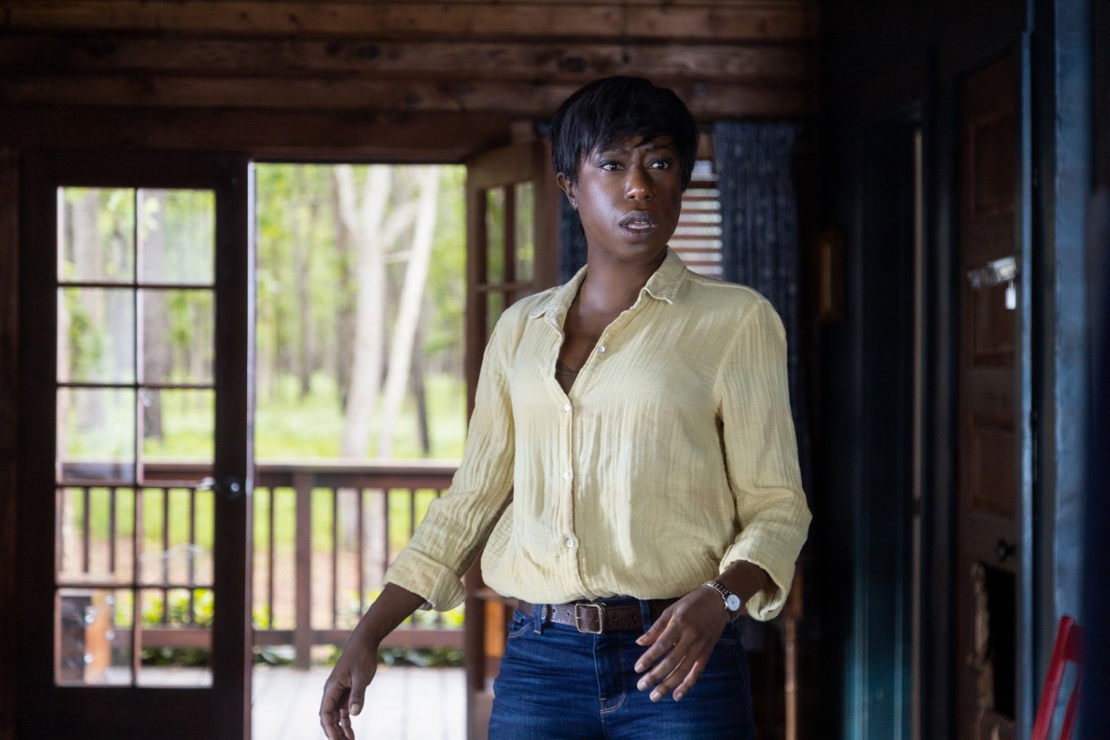 Photo de Nikki Amuka-Bird - Knock at the Cabin : Photo Nikki Amuka-Bird ...