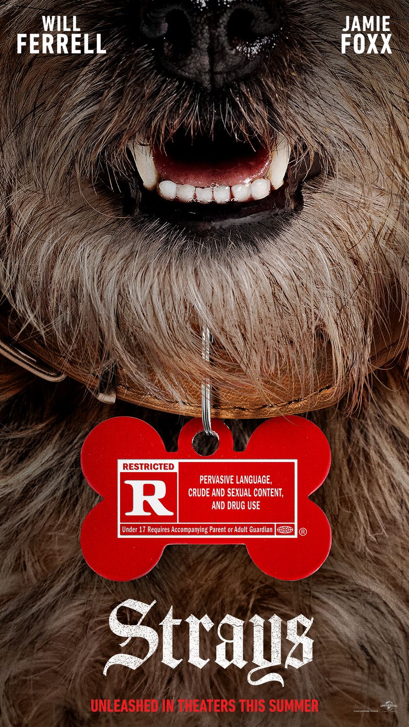 Affiche du film Backstreet Dogs - Photo 29 sur 29 - AlloCiné