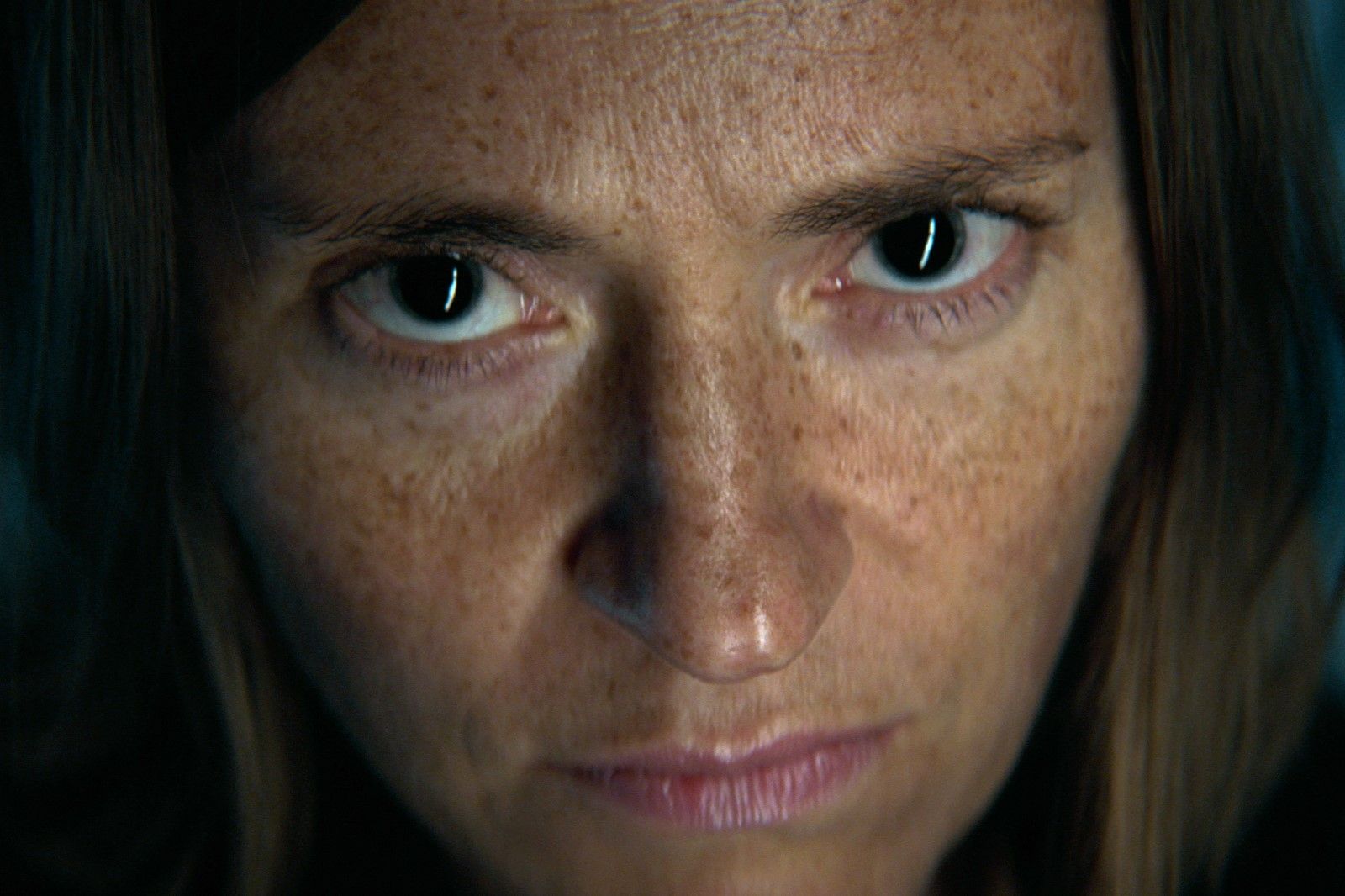 Photo du film Evil Forest - Photo 5 sur 10 - AlloCiné